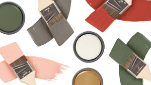 Clare: Online Paint Store, House Paint & Supplies Delivered
