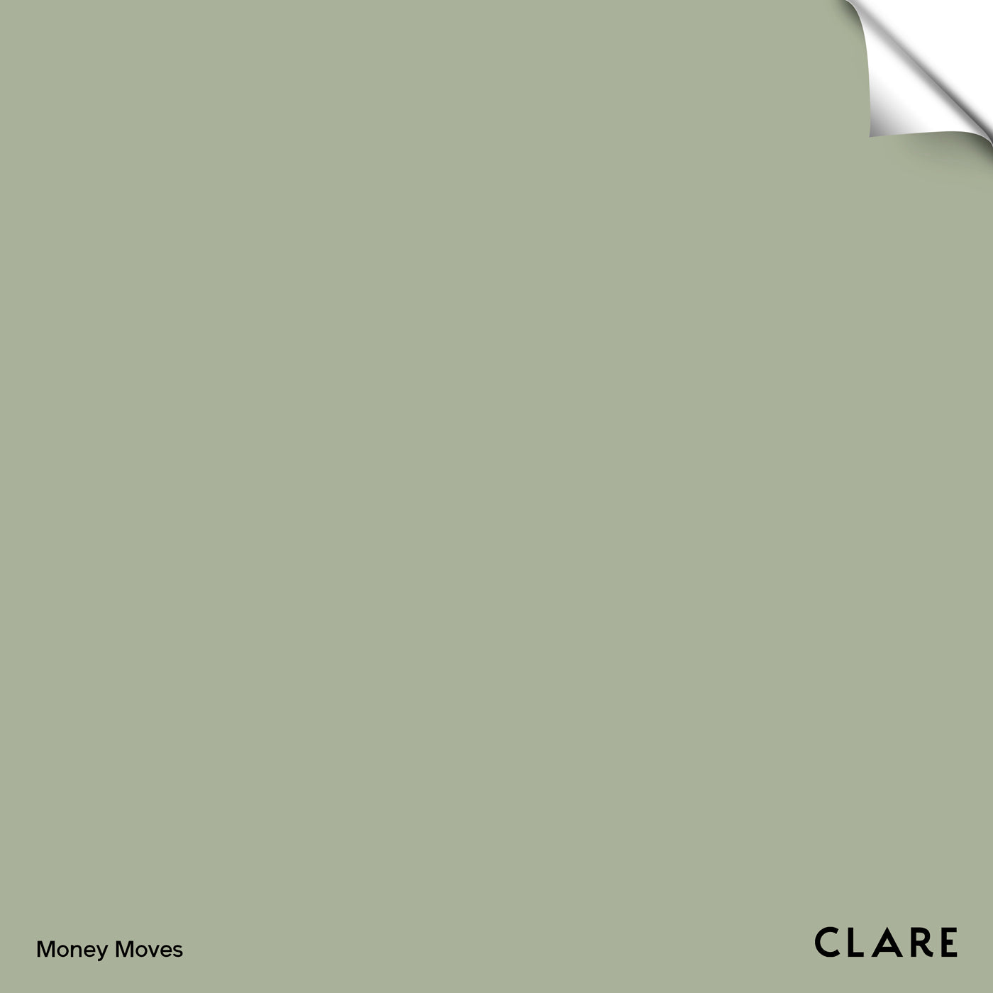 Money Moves | Light Green Paint Color | Clare